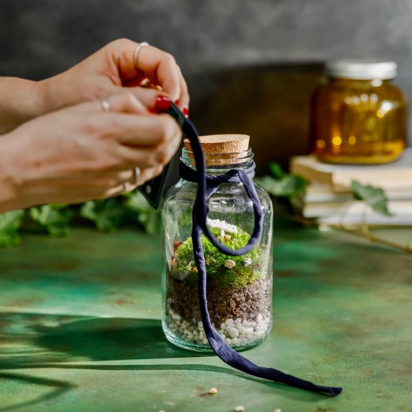 Vaffanculo - Cloettario » Clo'eT Design